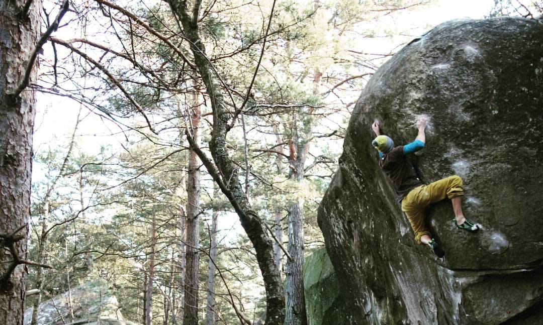Thomas Collignon libère « Peak Power » 8B+ (8B) à Fontainebleau ...