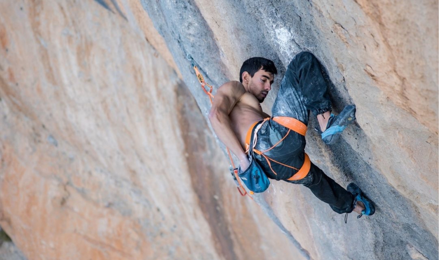 Le verdict de Jorge Diaz-Rullo sur la cotation de “Sleeping Lion ...